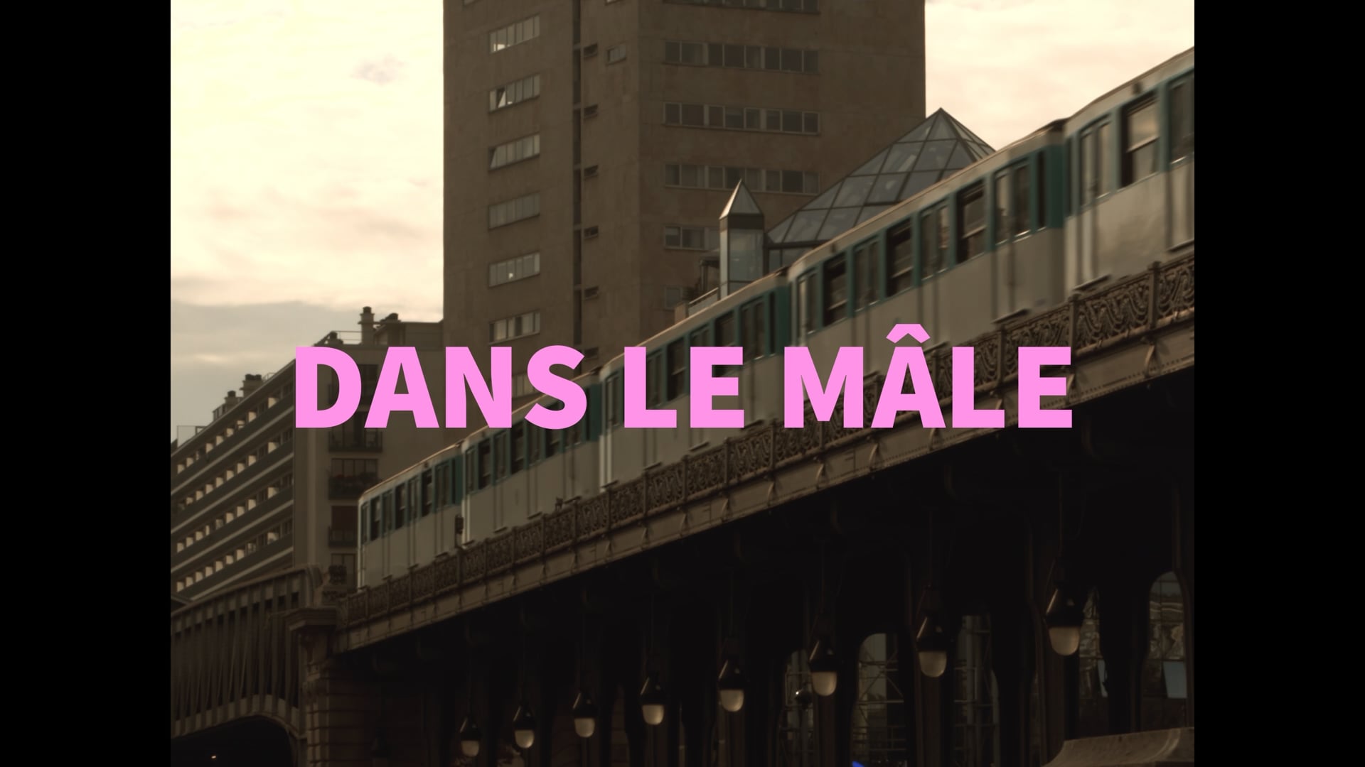 Dans le Mâle - Court-métrage (8min) - Fulgura Films