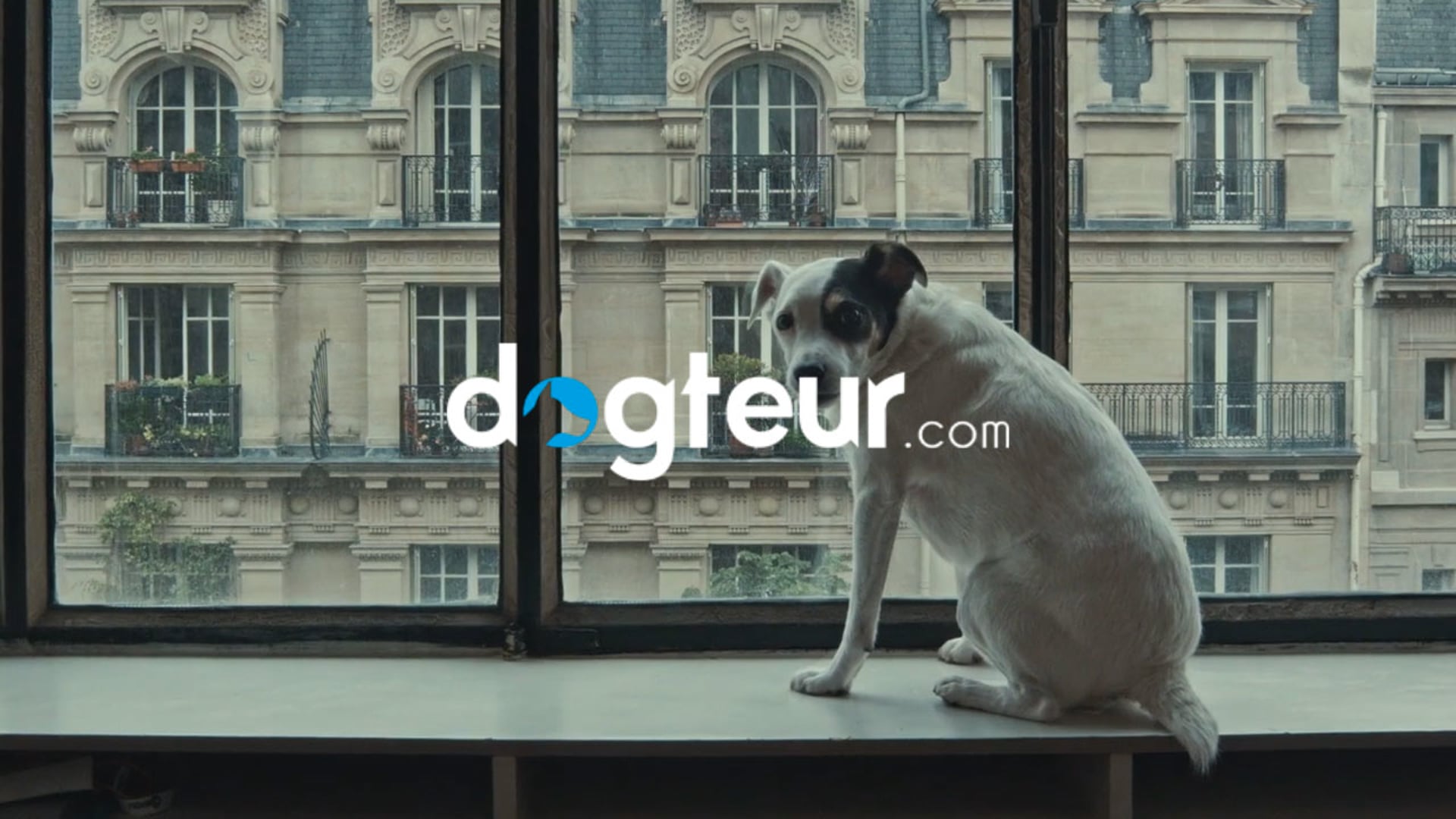 Dogteur.com - Passionnément vétérinaire - Fulgura Films